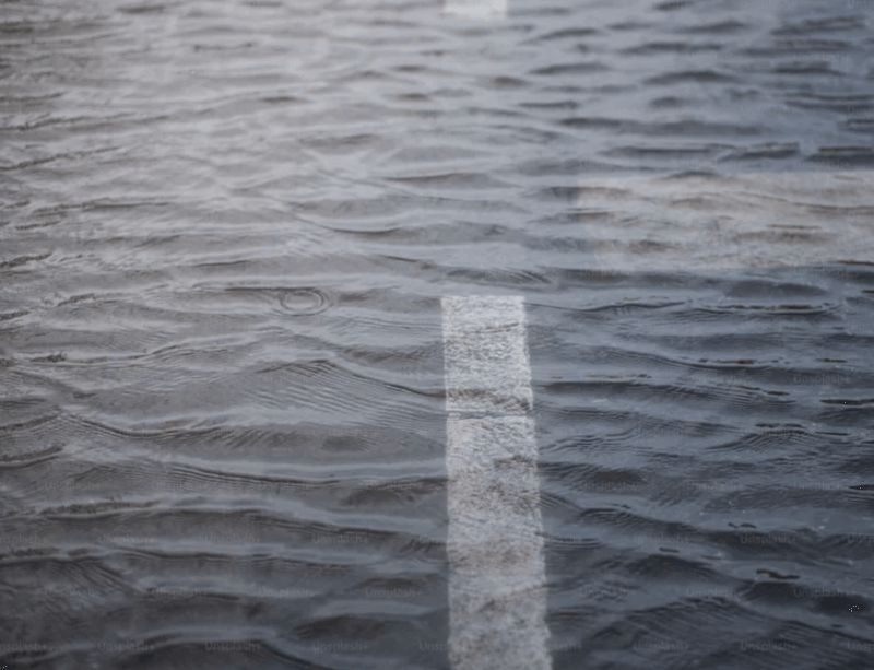 Vector Risk Solutions